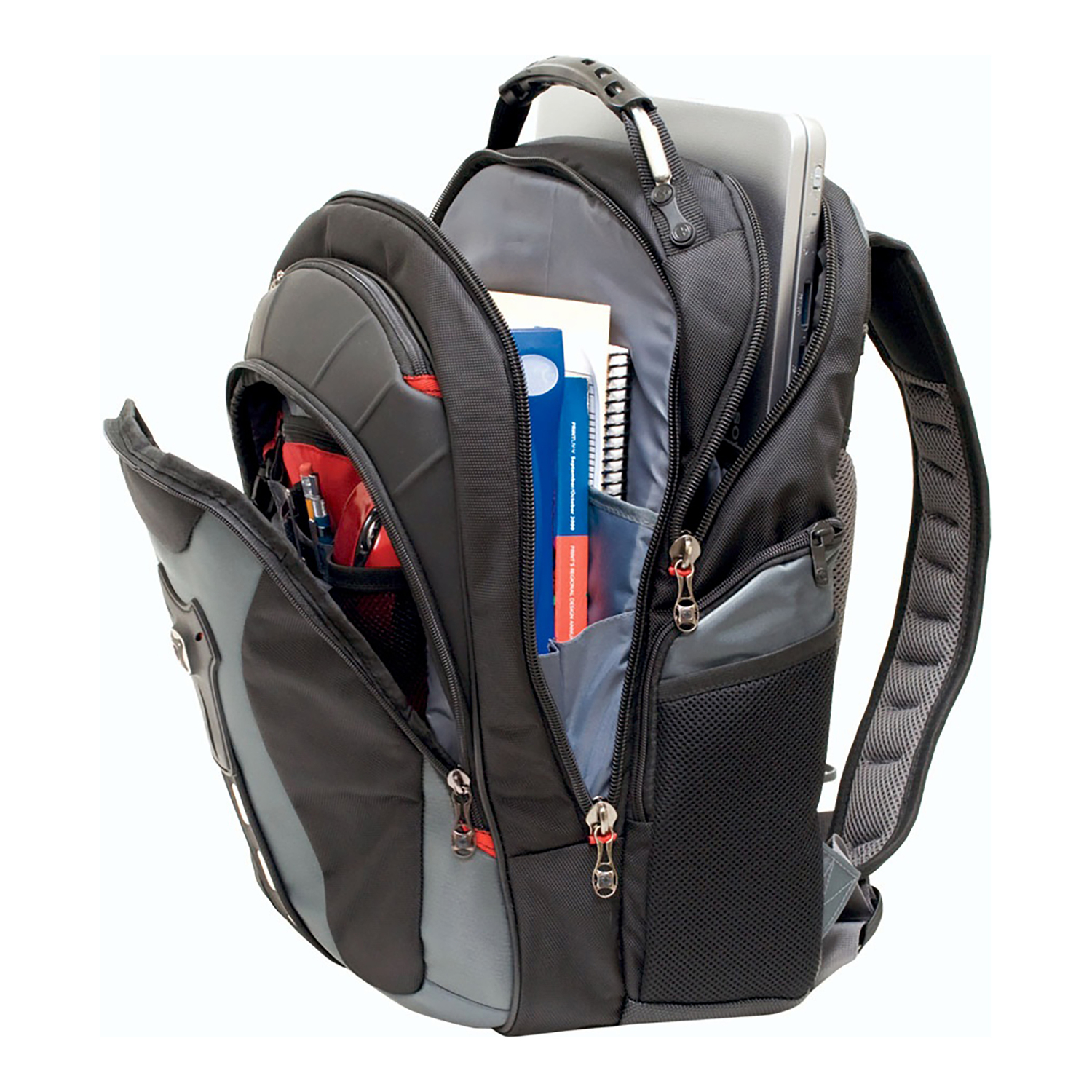 Wenger Pegasus Laptop-Rucksack 17 Zoll blau | jetzt online kaufen auf ... Wenger Pegasus Laptop-Rucksack 17 Zoll blau | jetzt online kaufen auf ...